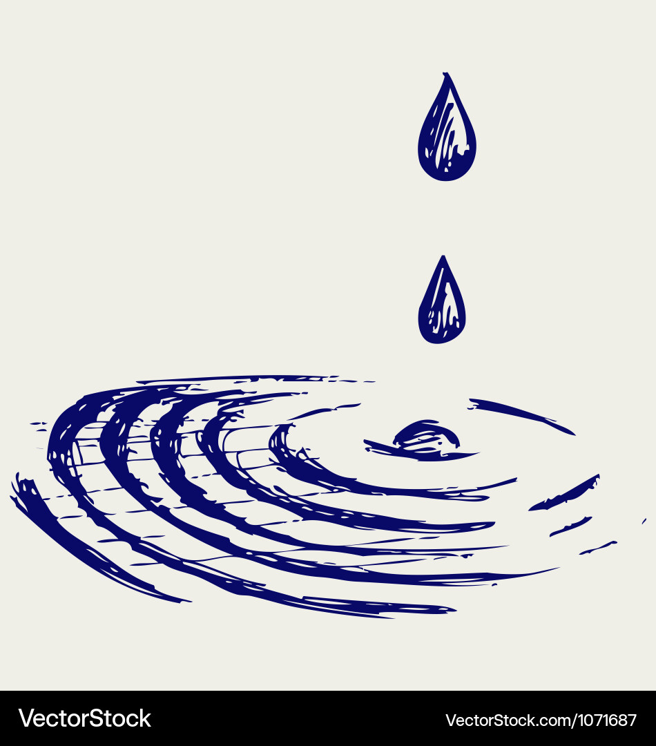 Water drops Royalty Free Vector Image - VectorStock