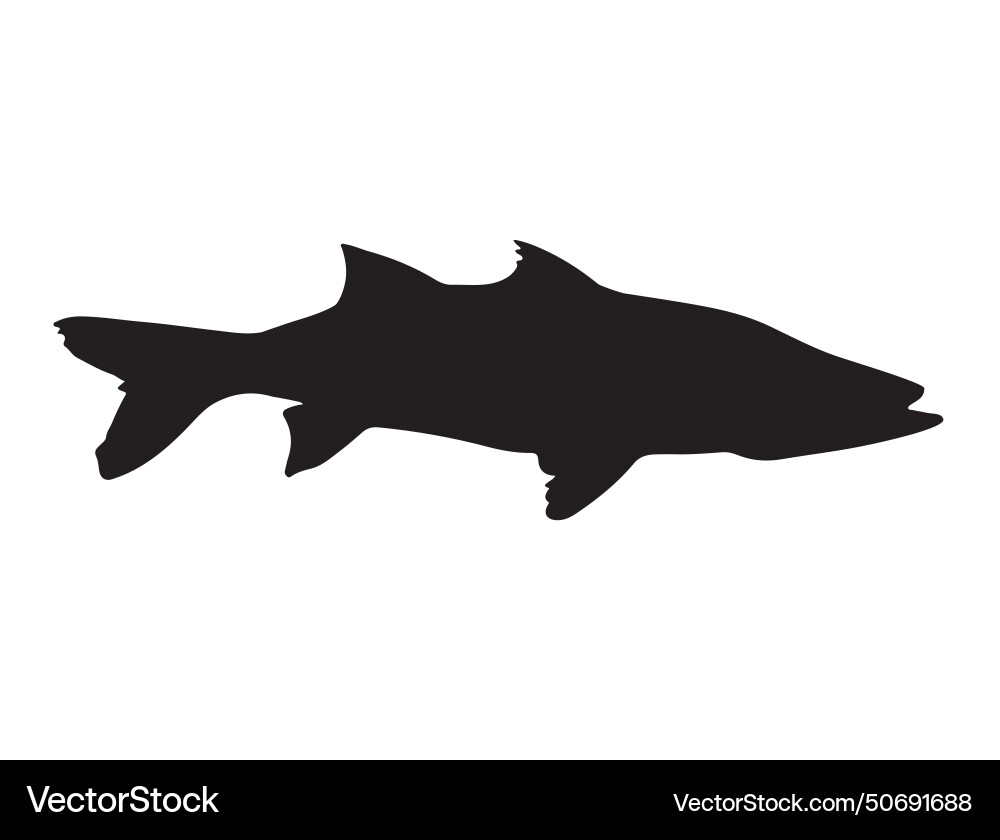 Snook fish silhouette art Royalty Free Vector Image