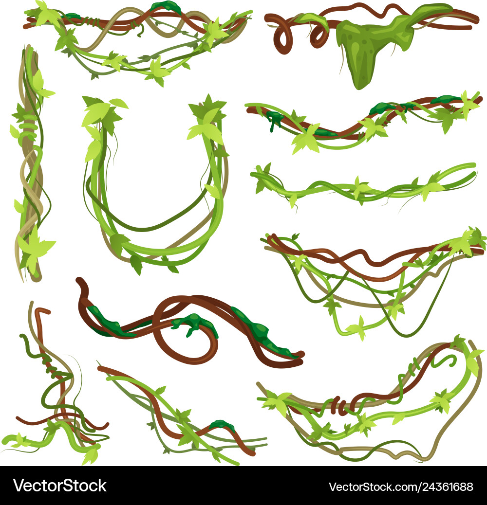 Tropical lianas set wild floral design texture Vector Image