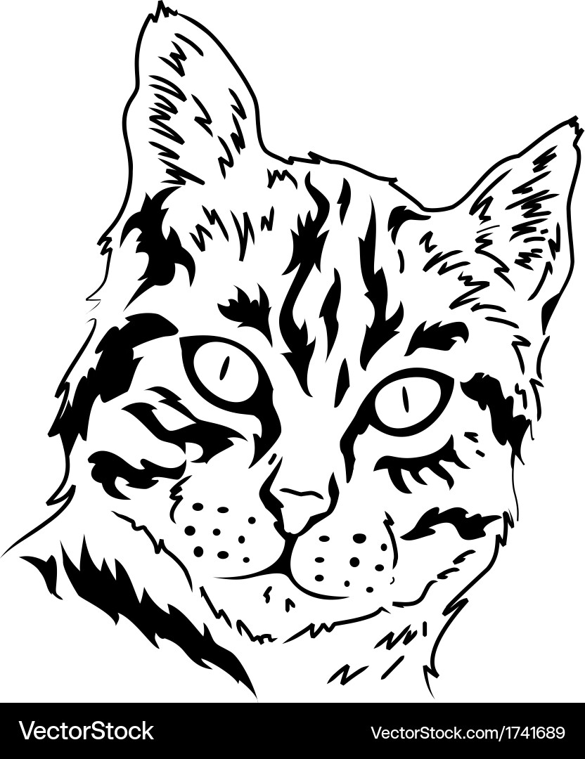 Cat Royalty Free Vector Image - VectorStock