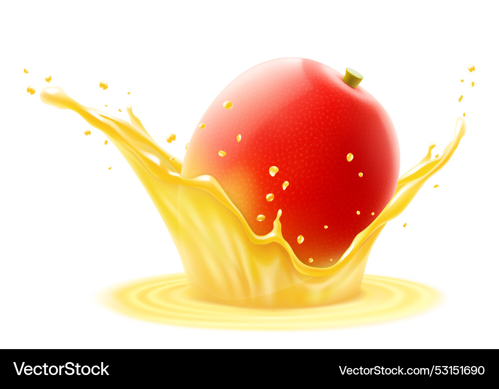 Fresh ripe exotic mango falls into a splash Vector Image