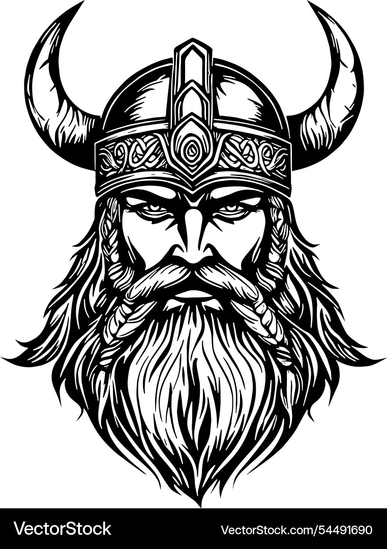 Viking portrait Royalty Free Vector Image - VectorStock