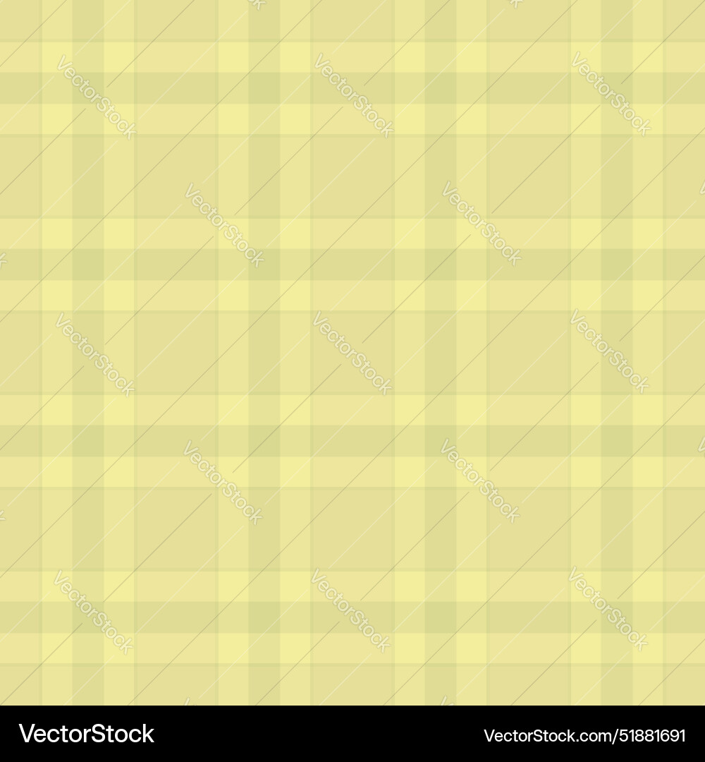 Fibre plaid fabric spanish tartan check pattern Vector Image