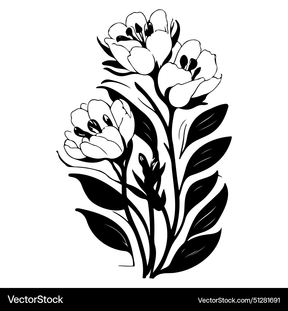 Freesia flower sketch Royalty Free Vector Image