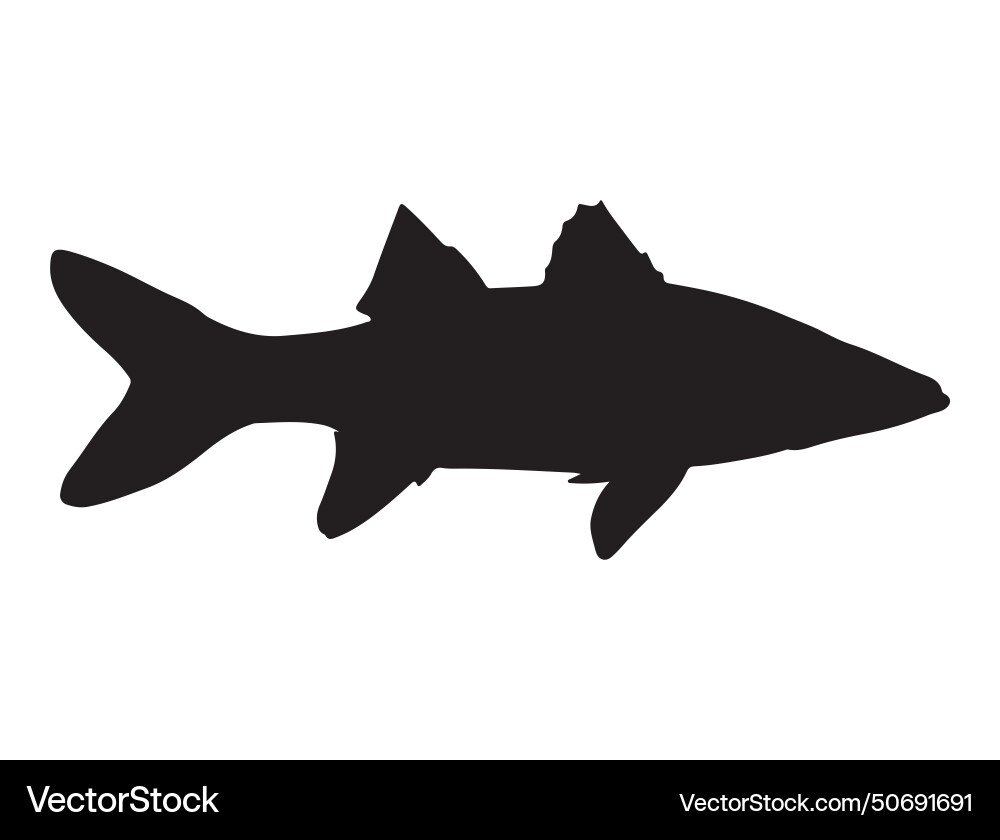 Snook fish silhouette art Royalty Free Vector Image