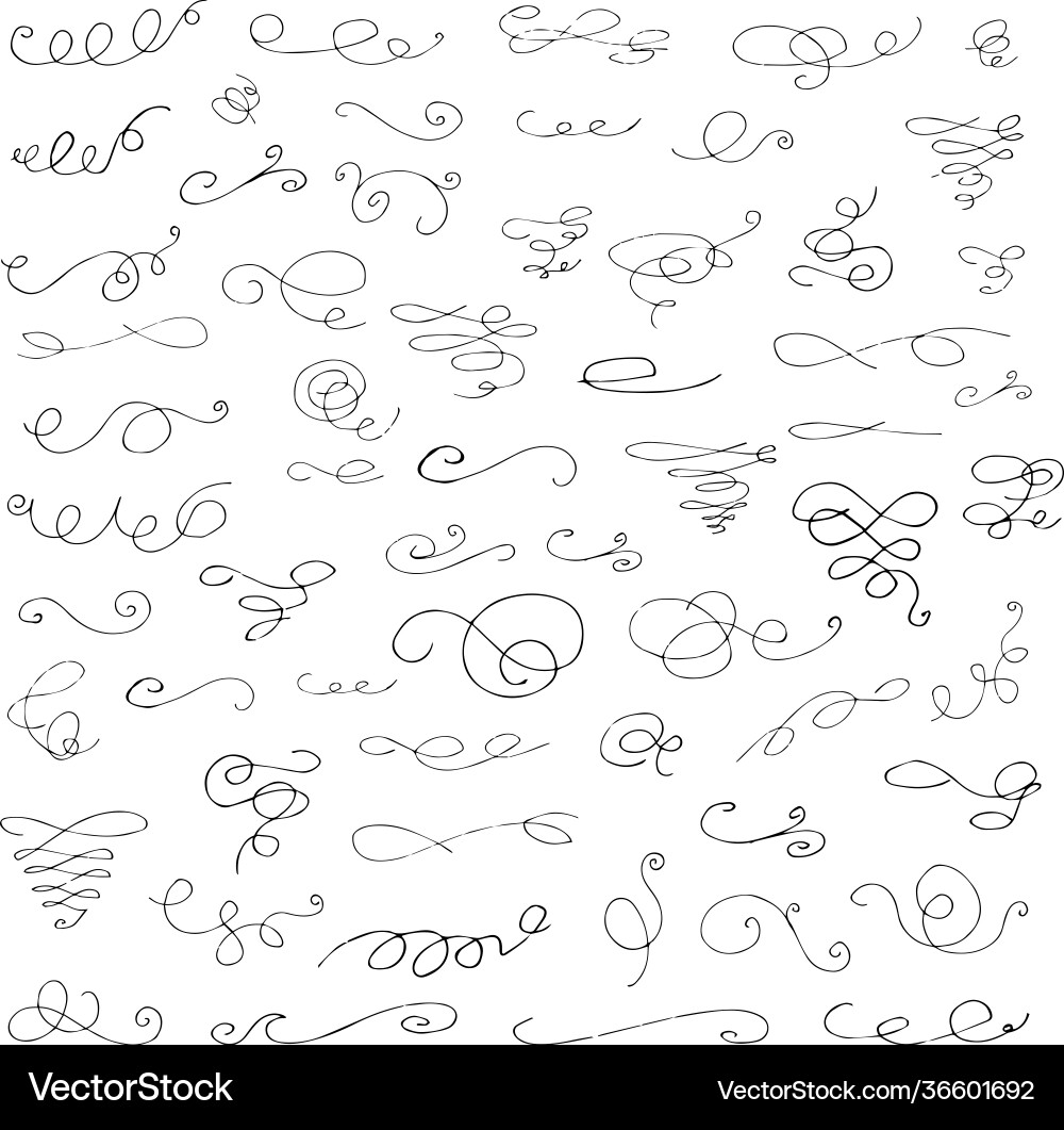 Hand drawn decorative scroll shapes fioriture Vector Image