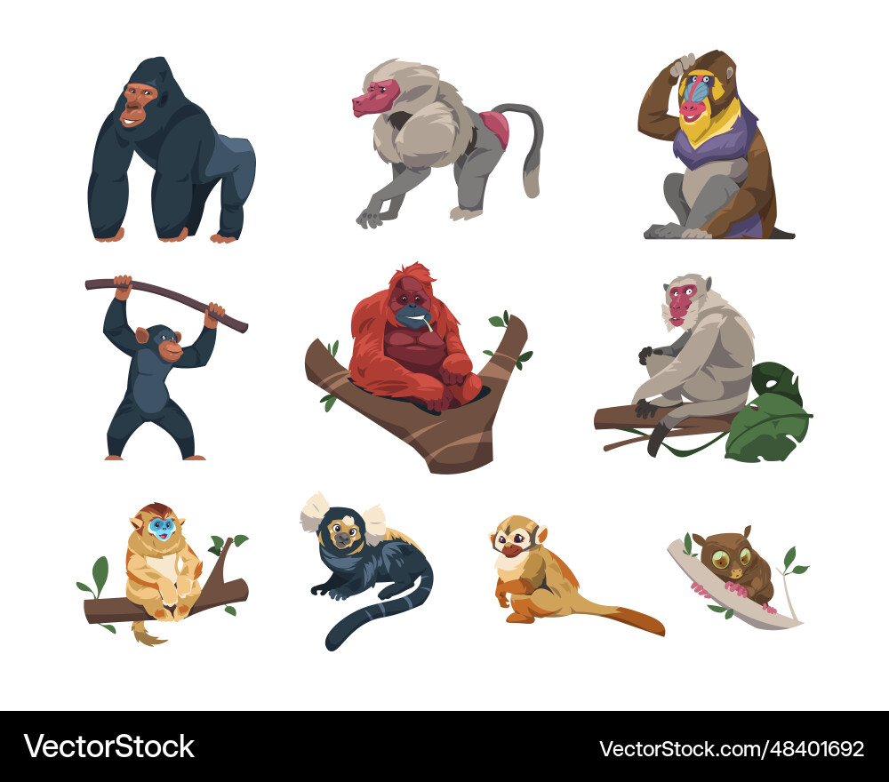Monkeys collection cartoon ape characters Vector Image