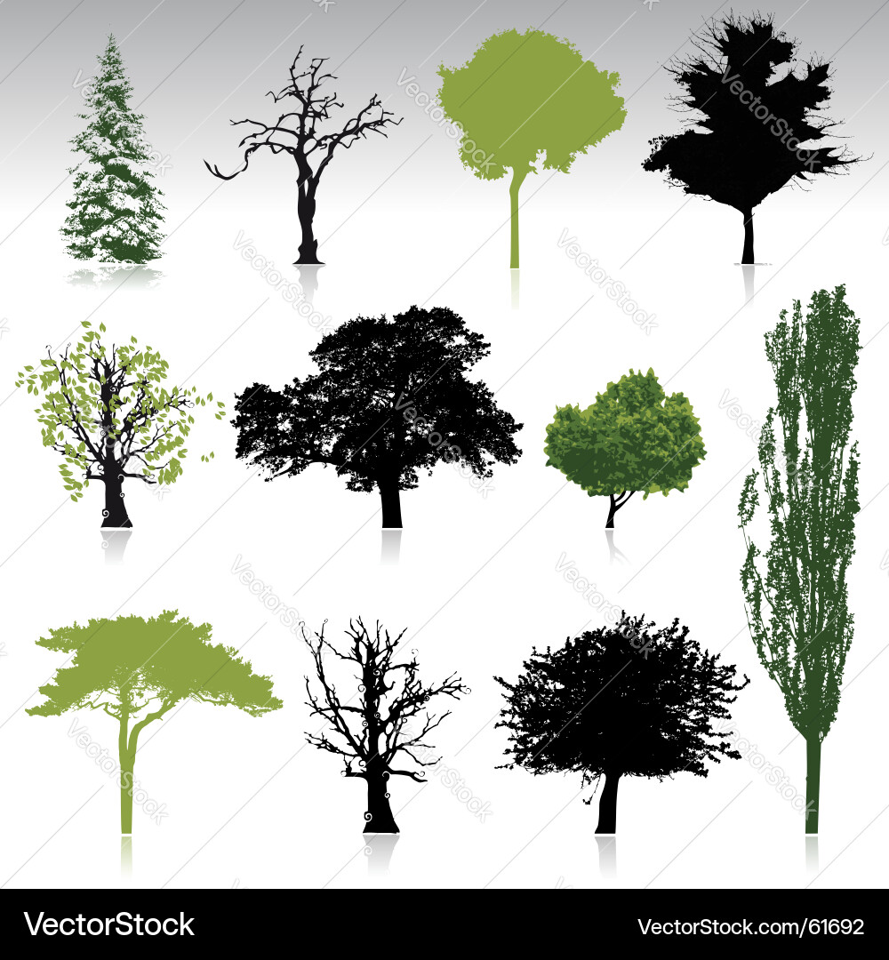 Trees collection Royalty Free Vector Image - VectorStock