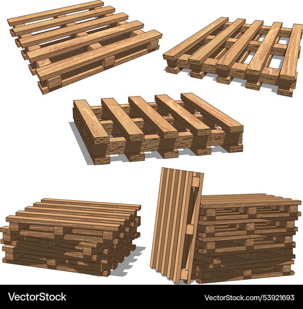 Dangon wood pallet Royalty Free Vector Image - VectorStock