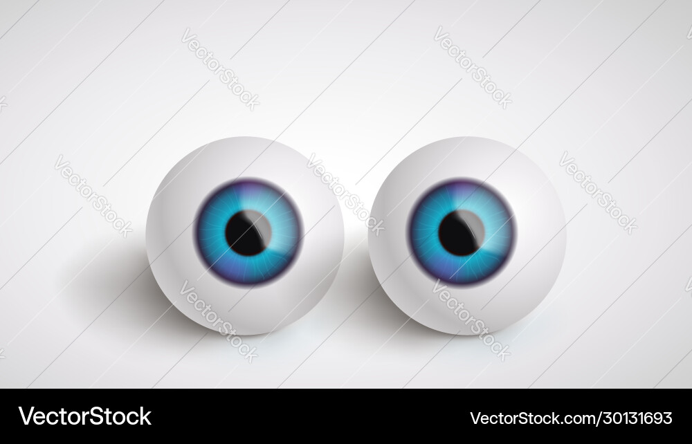 Eyeballs pair 4 Royalty Free Vector Image - VectorStock