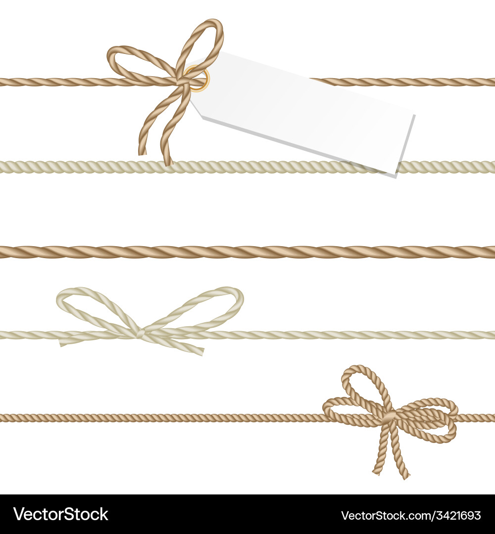 Rope Bows and Ribbons Royalty Free Vector Image