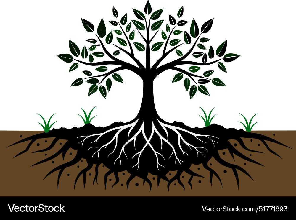 Tree root black isolated flat Royalty Free Vector Image