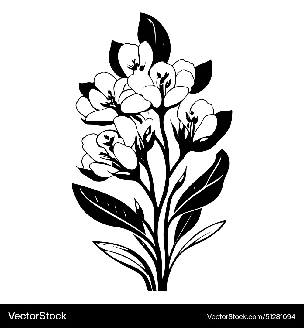 Freesia flower sketch Royalty Free Vector Image