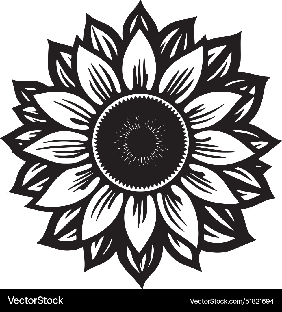 Sunflower - black and white isolated icon Vector Image