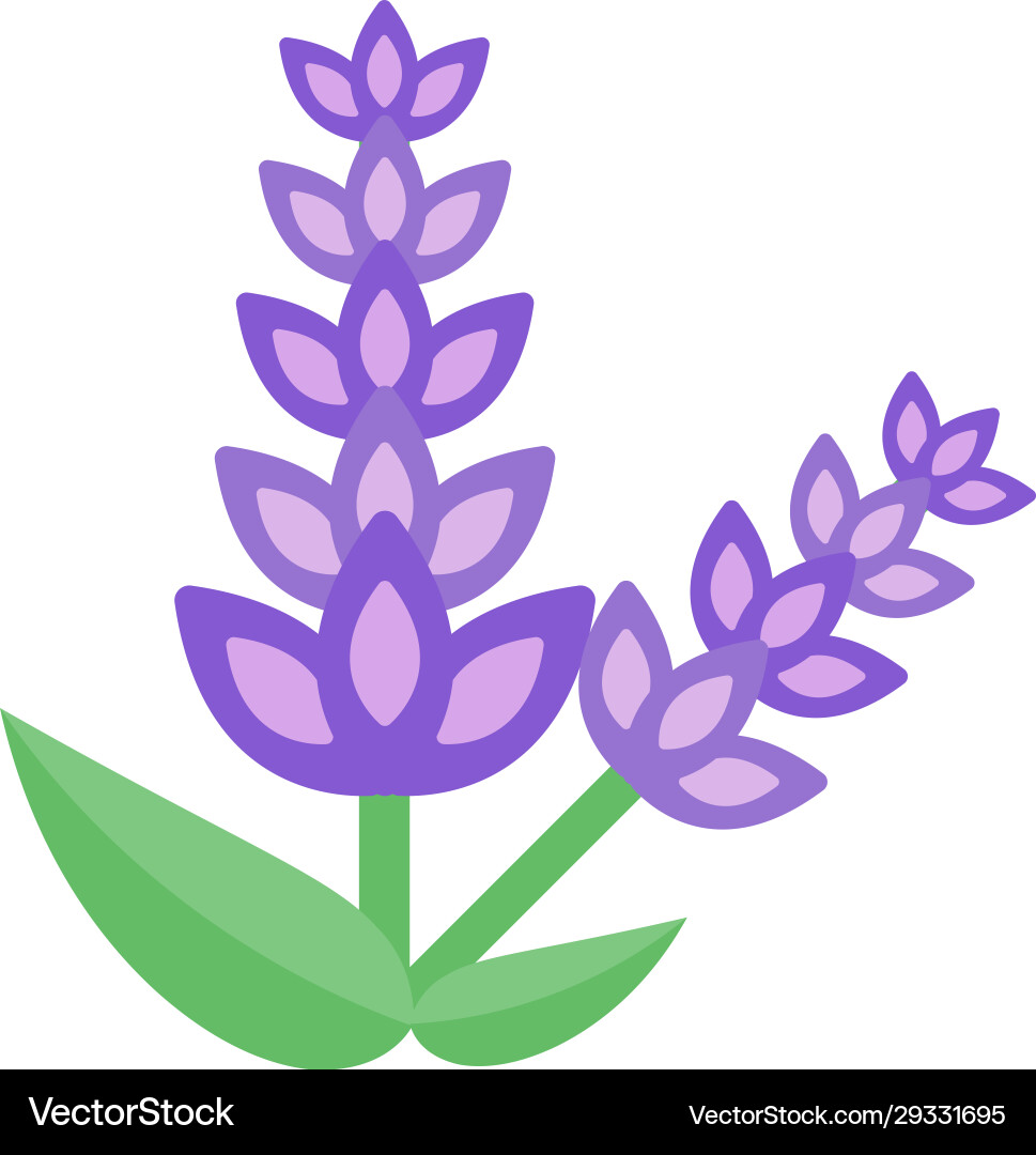 Licorice Royalty Free Vector Image - VectorStock