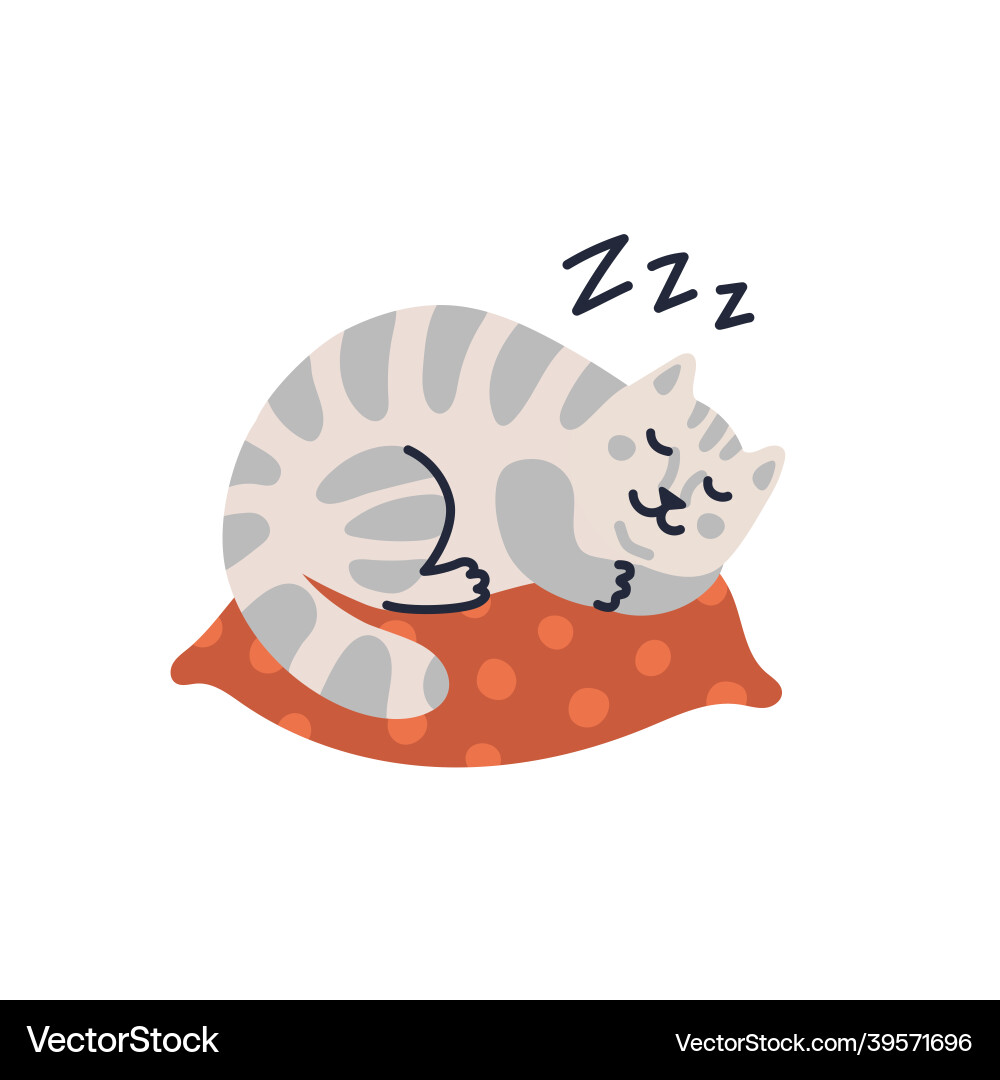 Cat cute tabby kitten Royalty Free Vector Image