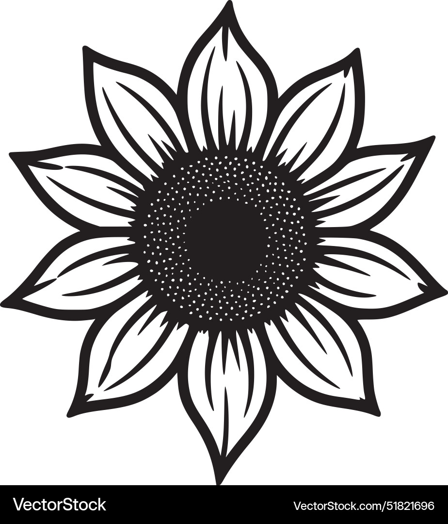 Sunflower - black and white isolated icon Vector Image