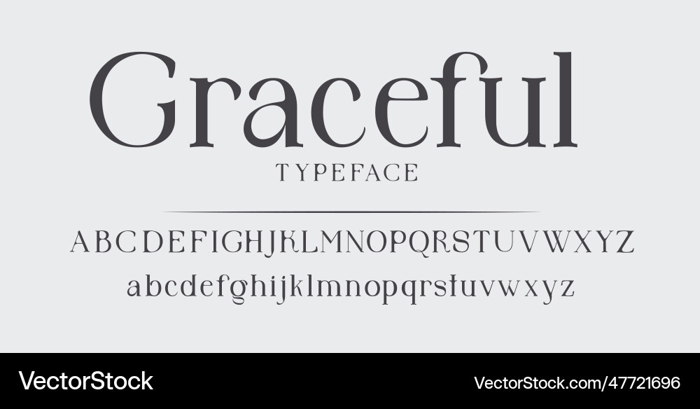 Typeface elegant font uppercase and lowercase Vector Image