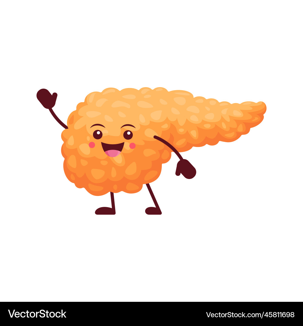Healthy Cartoon Pancreas Character Royalty Free Vector Image