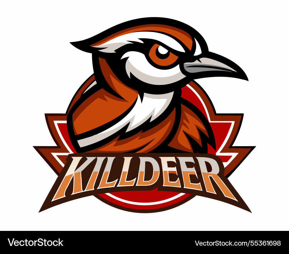 Killdeer-mascot-logo Royalty Free Vector Image