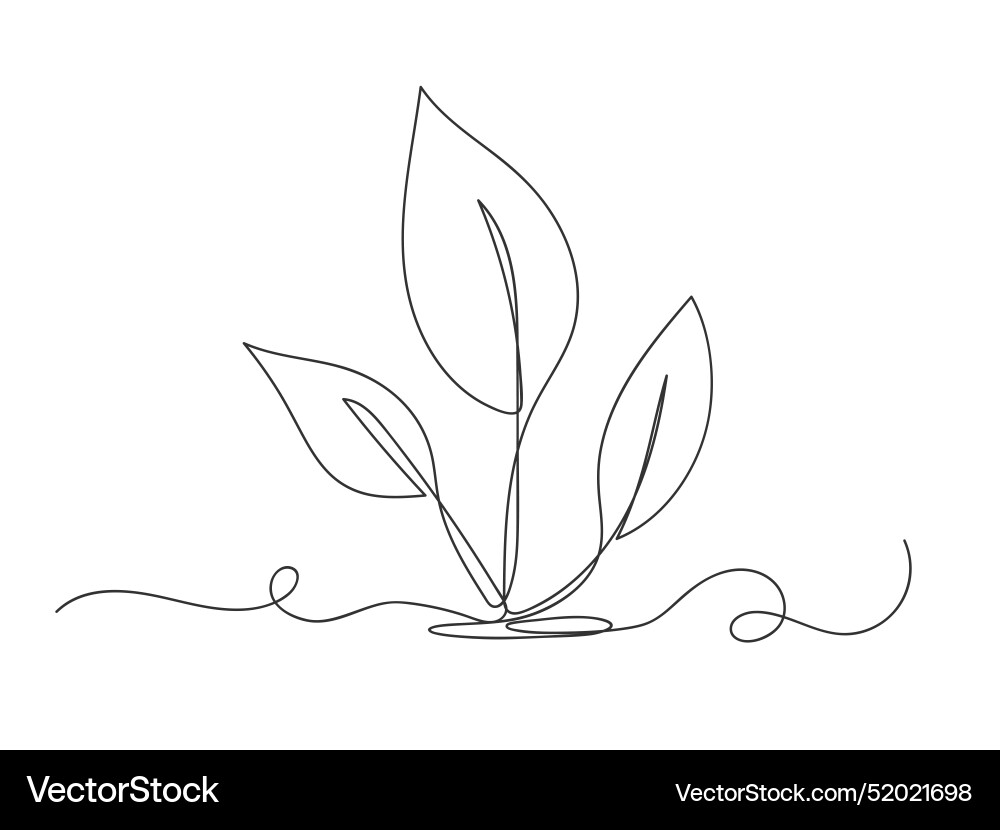Natural organic plant continuous one line art Vector Image