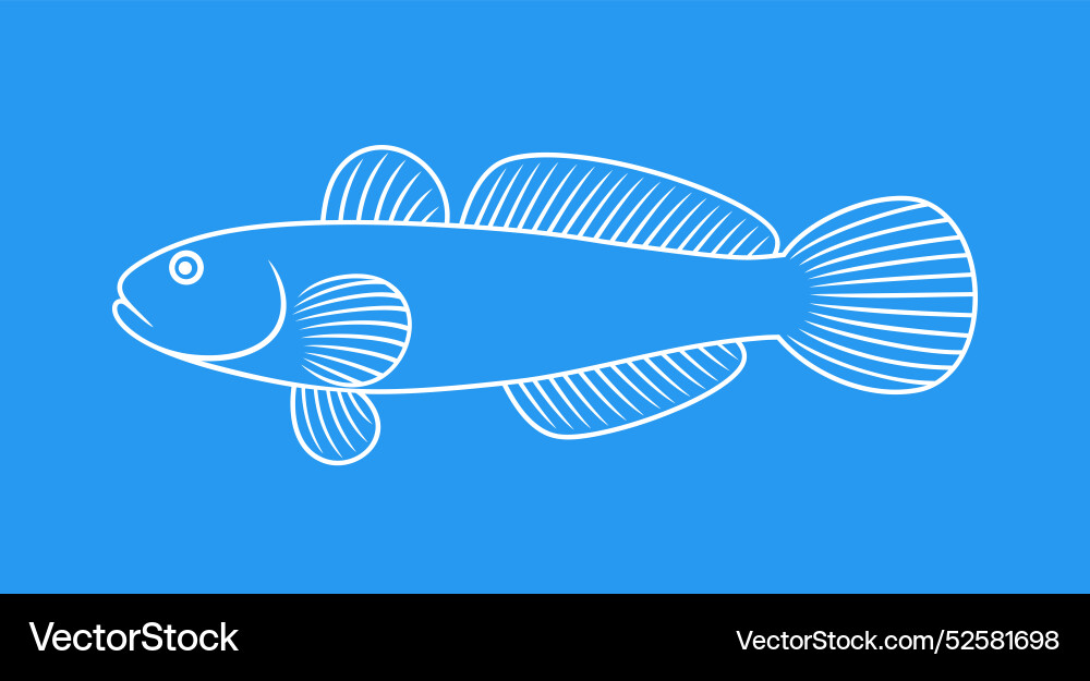 Sea goby Royalty Free Vector Image - VectorStock