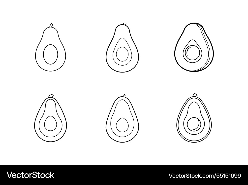 Avocado line art Royalty Free Vector Image - VectorStock