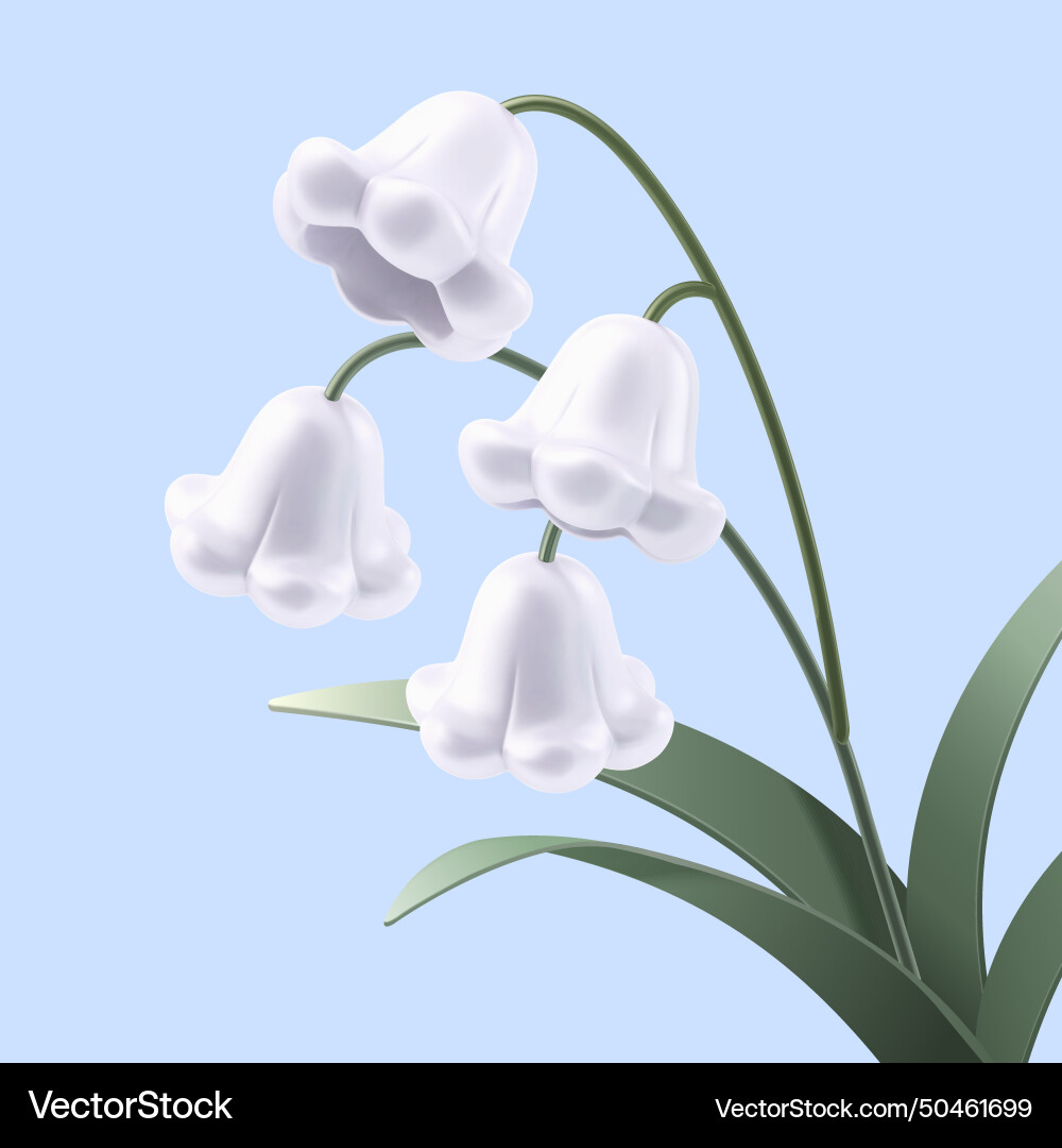 Lovely white lily of the valley Royalty Free Vector Image