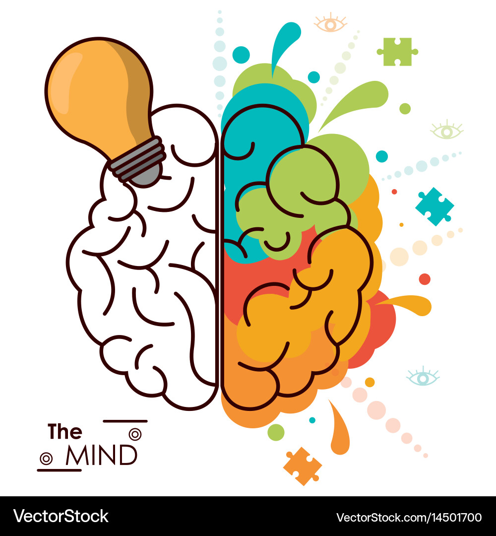 Mind human brain bulb idea analytic creativity Vector Image