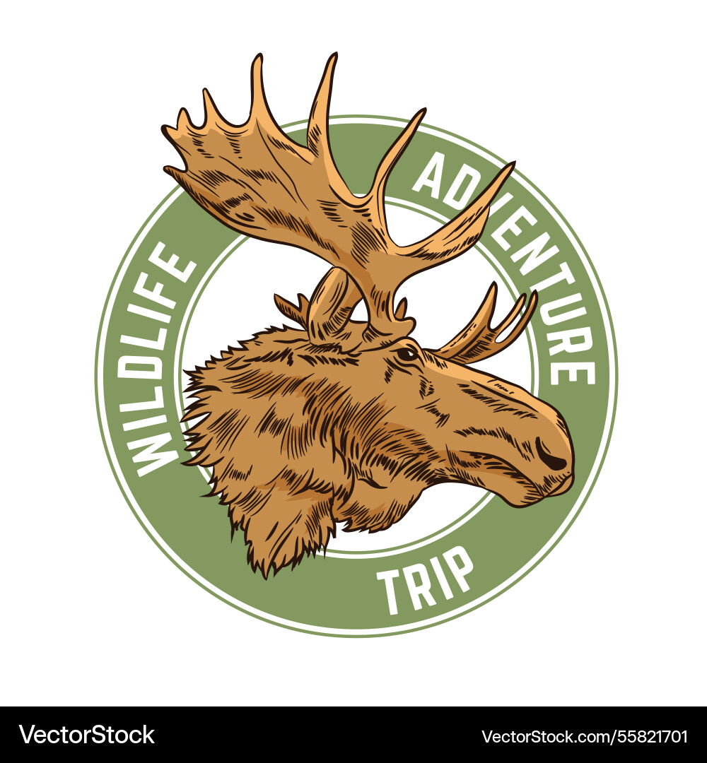 Moose head logo design Royalty Free Vector Image