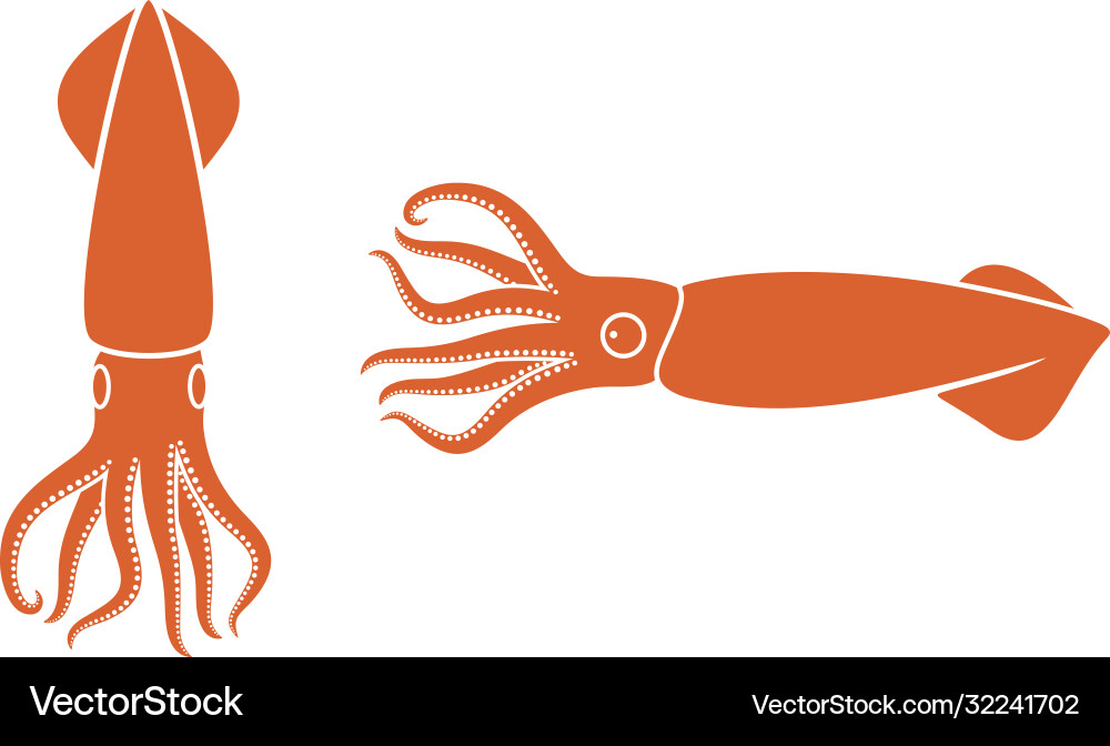 Squid Royalty Free Vector Image - VectorStock