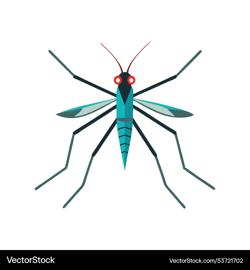 Water strider insect isolated flat white Vector Image