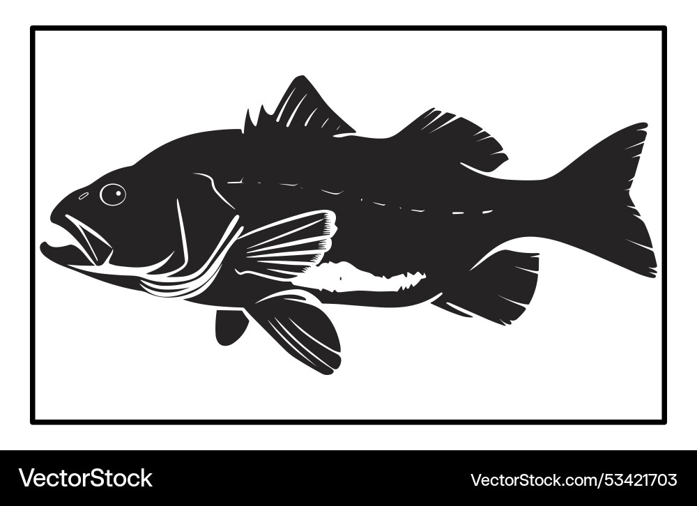Barramundi fish silhouette Royalty Free Vector Image