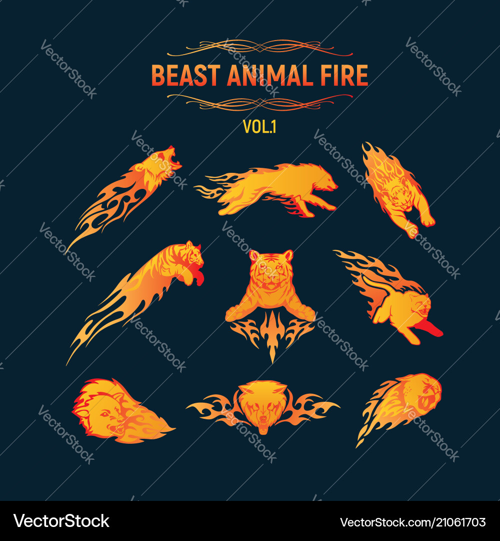 Beast animal flame set Royalty Free Vector Image