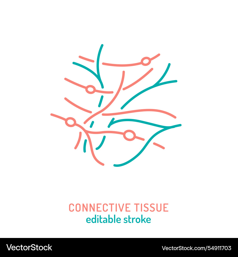 Connective tissue line icon collagen skincare Vector Image
