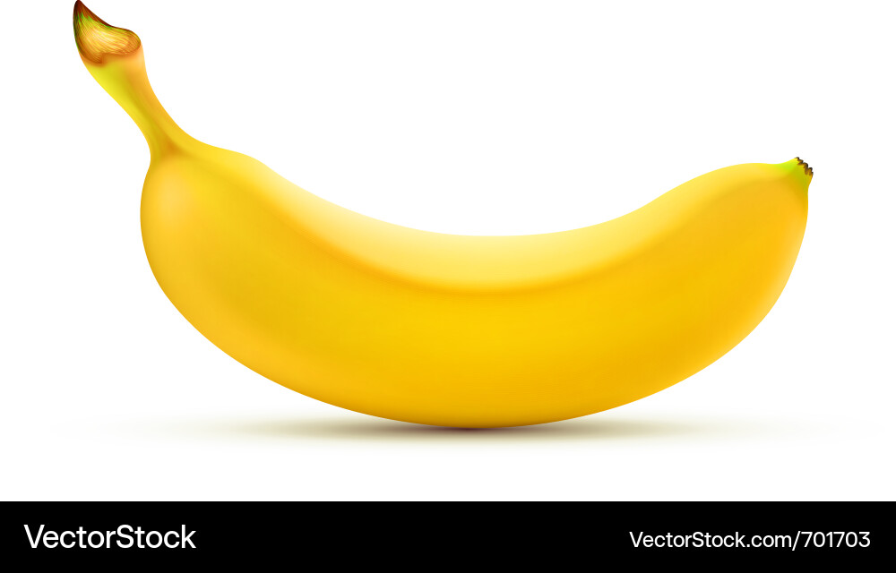 Yellow banana Royalty Free Vector Image - VectorStock