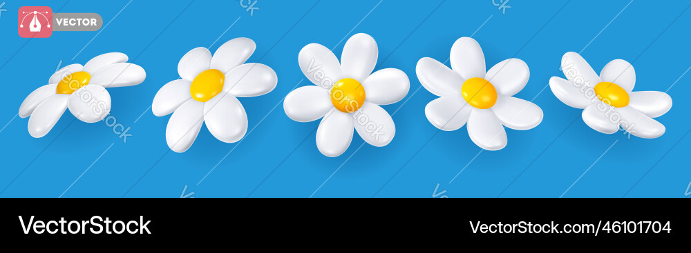 3d daisy flowers set Royalty Free Vector Image