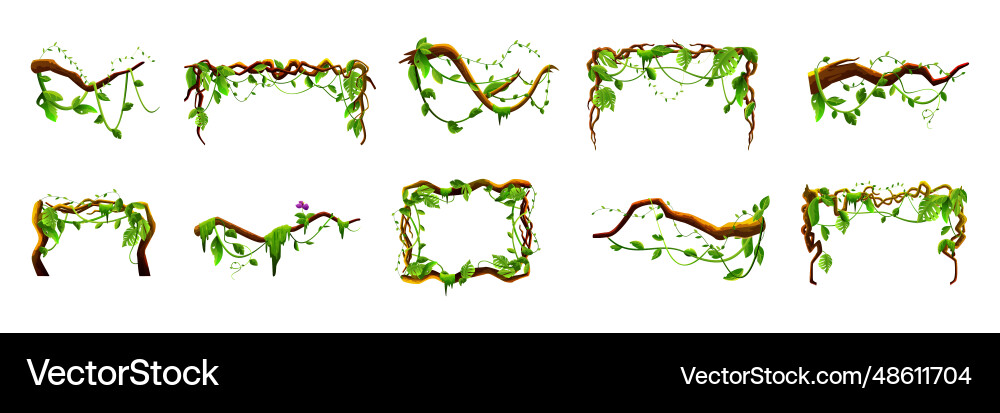 Jungle frames green vine tree foliage Royalty Free Vector