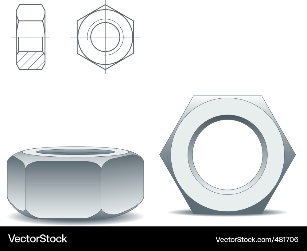 Metal nuts Royalty Free Vector Image - VectorStock