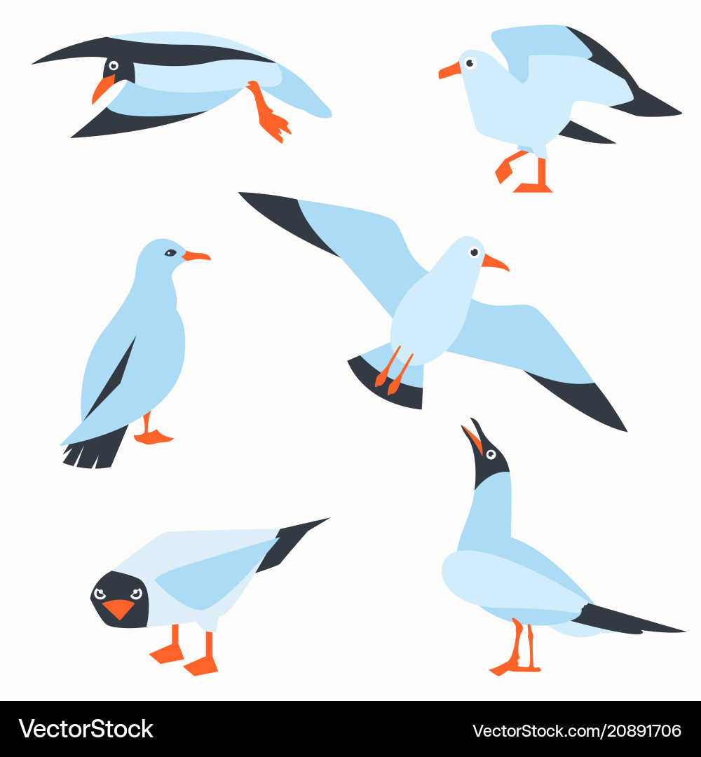 Sea gull a beautiful bird cute in cartoon Vector Image