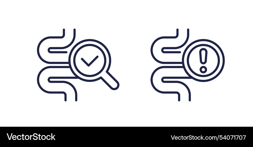 Bowel exam line icons on white Royalty Free Vector Image