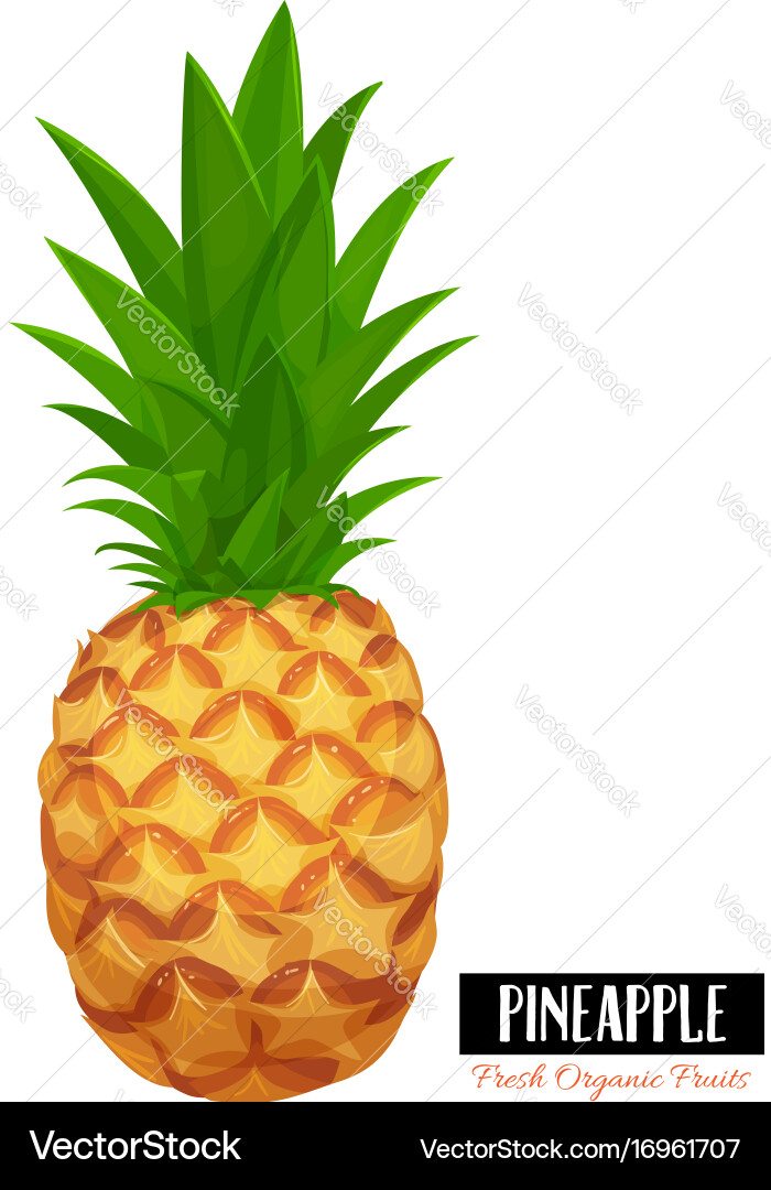 Pineapple Royalty Free Vector Image - VectorStock