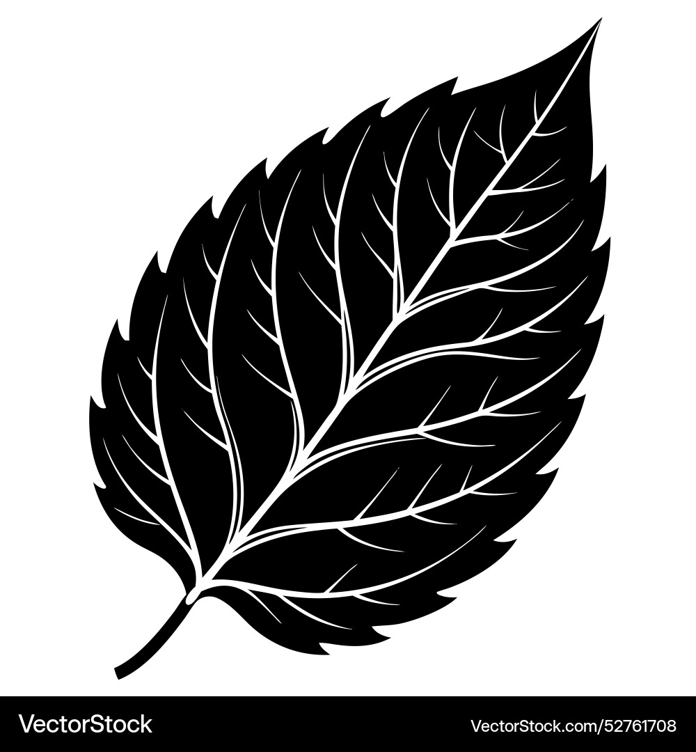 Spring-leaf-silhouette-1-min Royalty Free Vector Image
