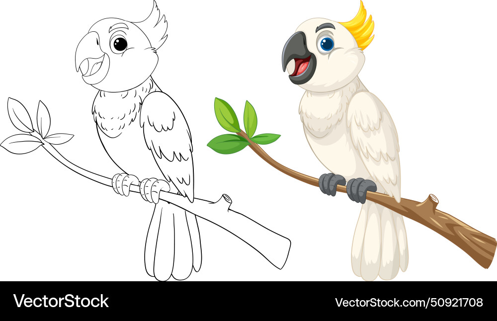 Two parrots one colored and outlined Royalty Free Vector