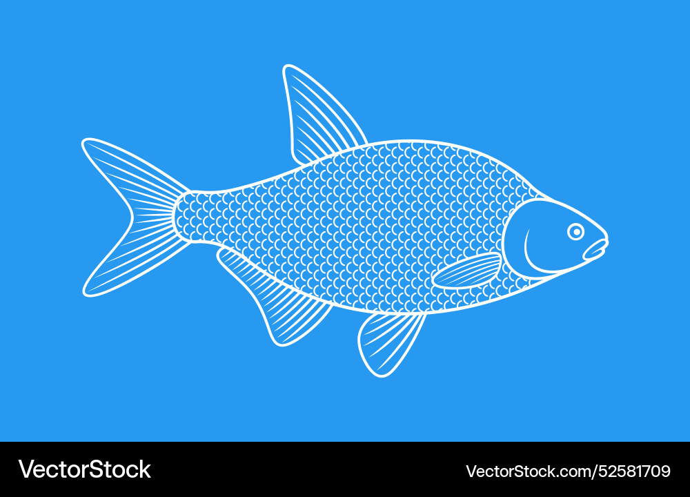 Bream Royalty Free Vector Image - VectorStock