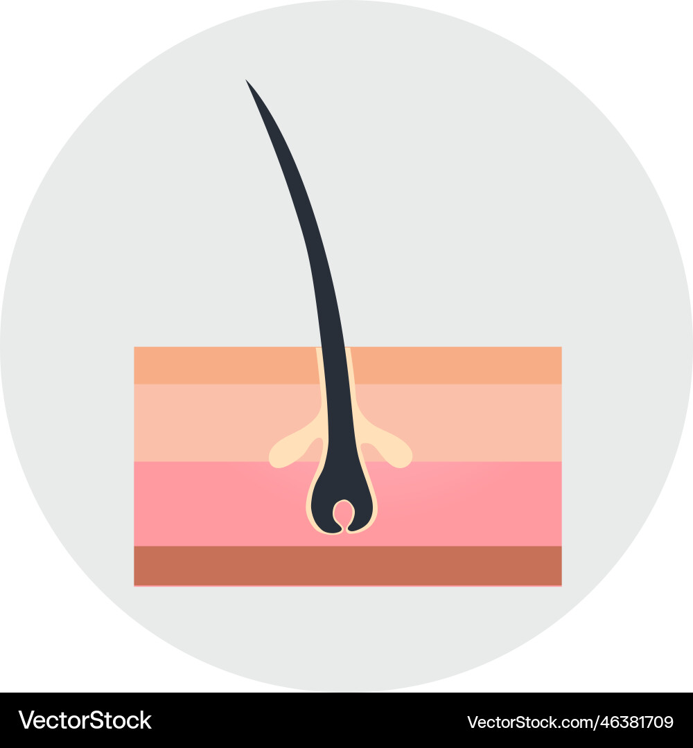 Hair growth icon Royalty Free Vector Image - VectorStock
