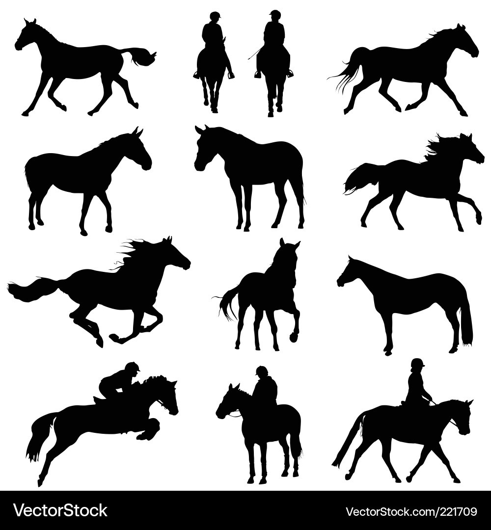 Horses and riders Royalty Free Vector Image - VectorStock