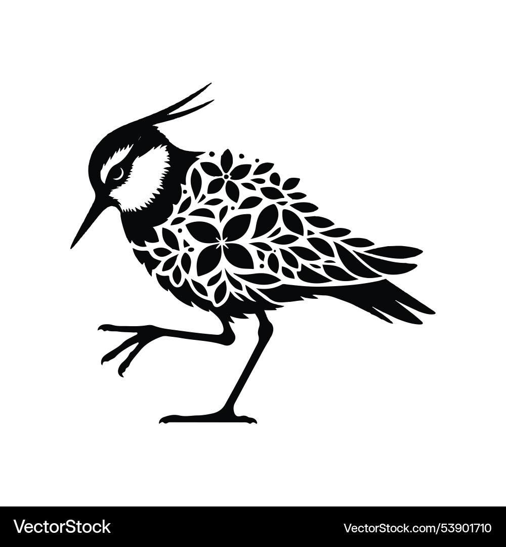 Lapwing Royalty Free Vector Image - VectorStock