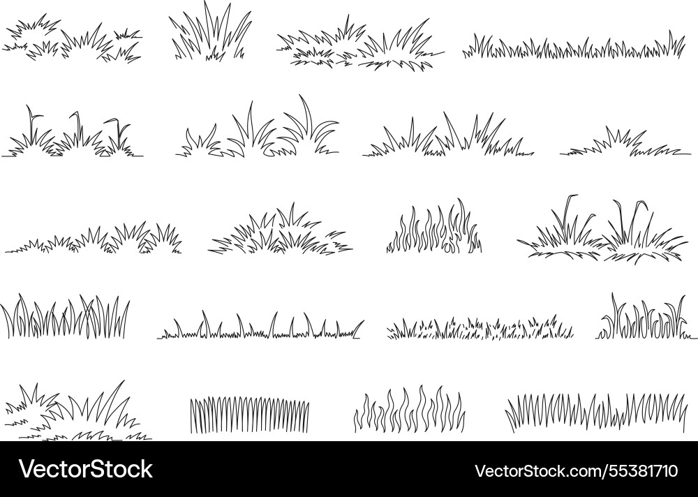 Linear grass doodle hand drawn lawn tufts sketch Vector Image