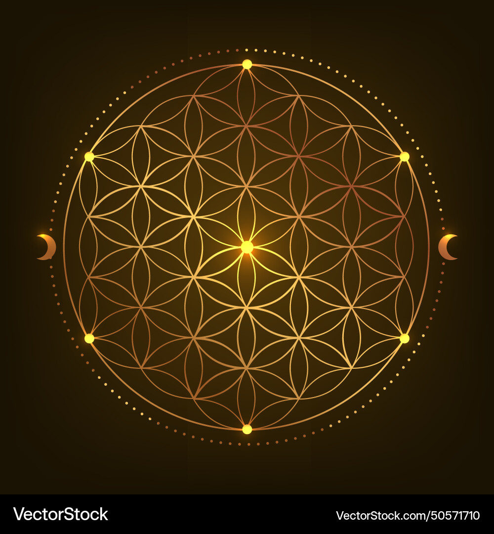 Pattern of sacred geometry symbol Royalty Free Vector Image
